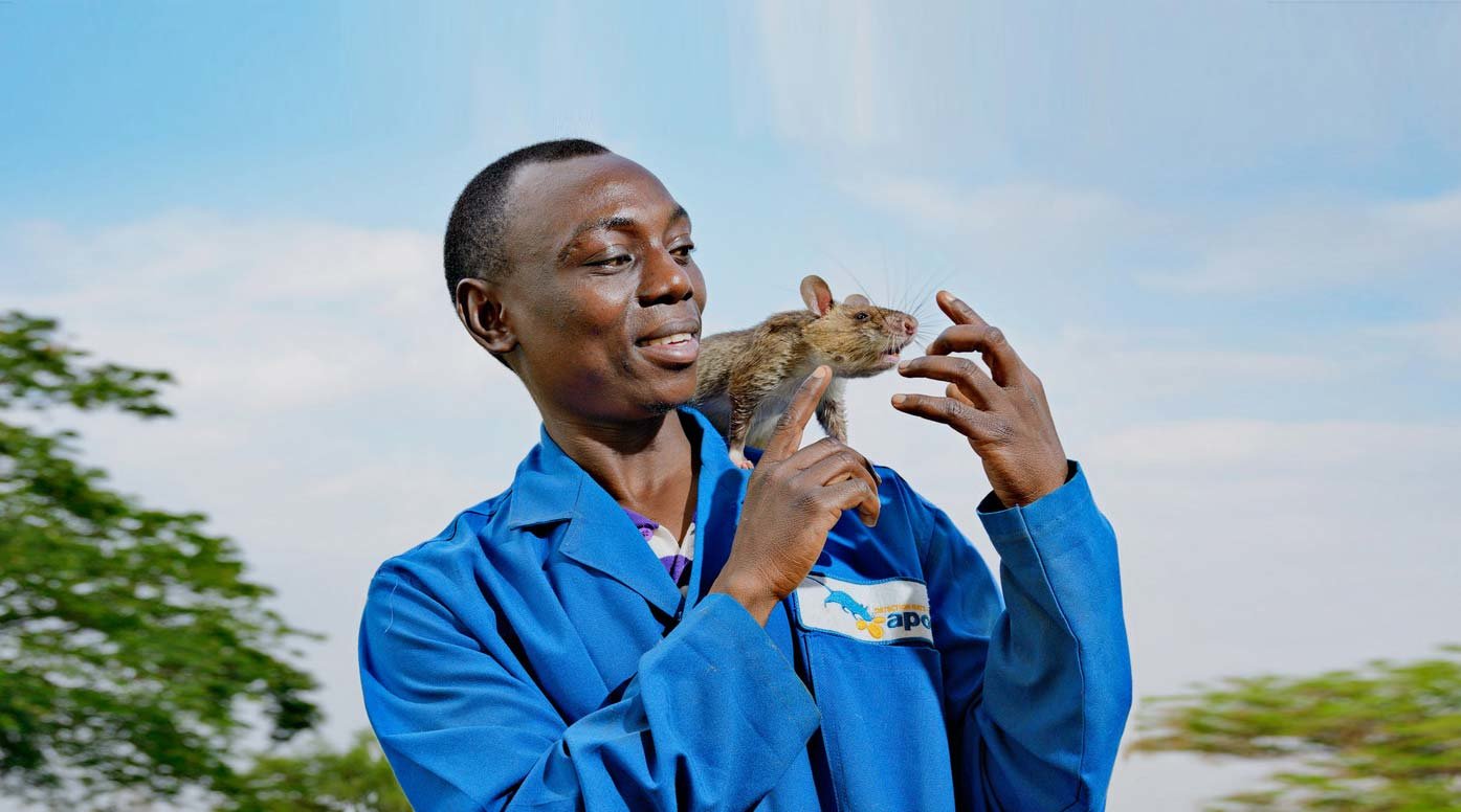 How To Donate To APOPO?