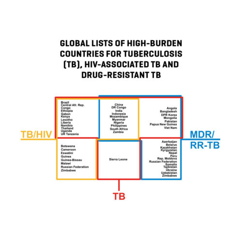 About Tuberculosis