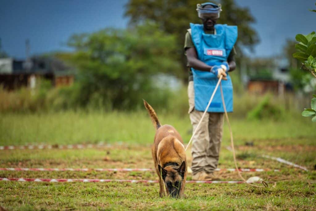 APOPO In South Sudan