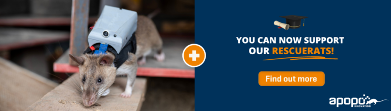 Training Rats To Save Lives • APOPO