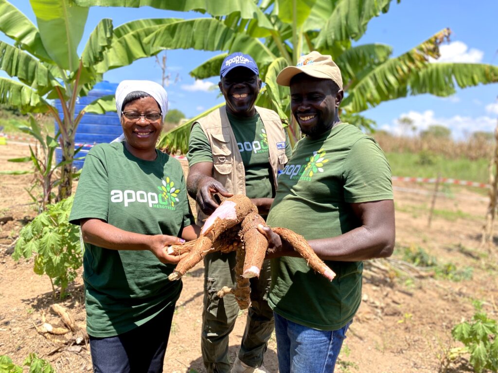 APOPO’s Syntropic Farm Pilot Project In Angola • APOPO