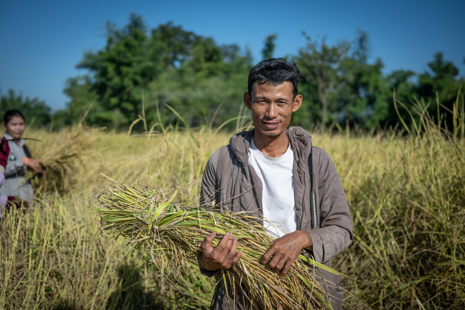From Minefields To Rice Fields: Year Three Begins In Preah Vihear ...